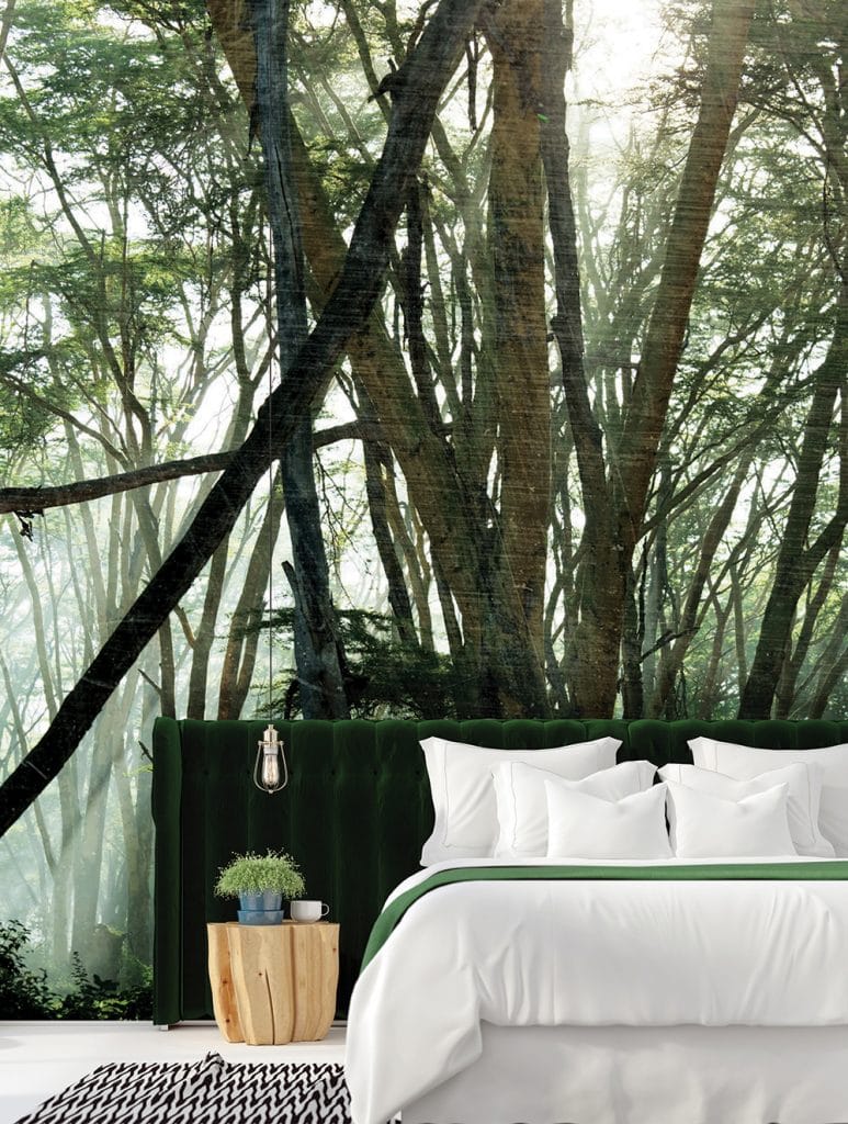 Paper Magic – wallpaper like you never seen it before